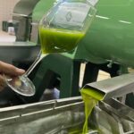 San Felice: Happy Hour in the Oil Mill with guided visit and tasting - Who Will Get the Most Out of This Tour?