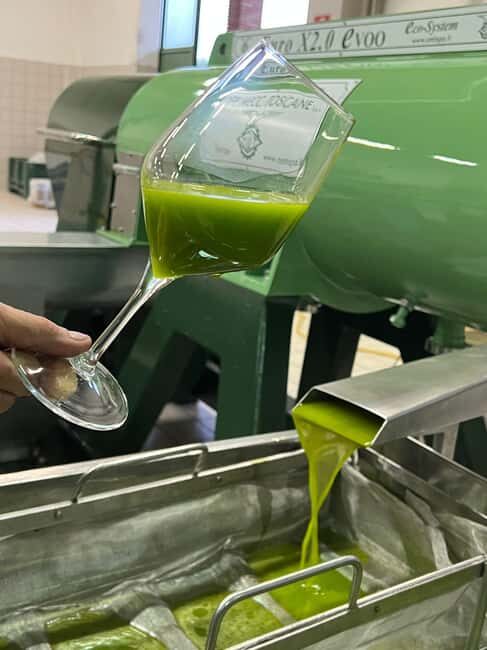 San Felice: Happy Hour in the Oil Mill with guided visit and tasting - Who Will Get the Most Out of This Tour?