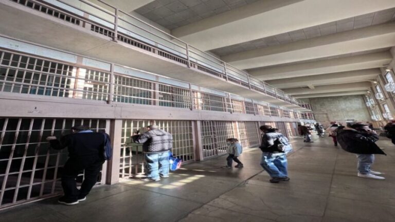 San Francisco: Alcatraz, Muir Woods and Sausalito Day Tour - Transportation and Practicalities