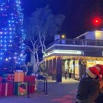 San Francisco: Holiday Lights Private Group Jeep Tour - Comfort and Convenience