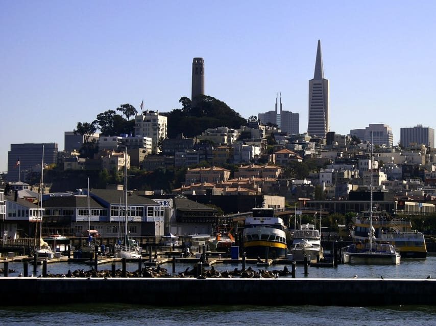 San Francisco: Hop-On Hop-Off City Bus Tour and Bay Cruise - The Water Perspective: Bay Cruise