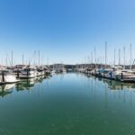 San Francisco: Muir Woods and Sausalito Small-Group Tour - The Value of the Tour