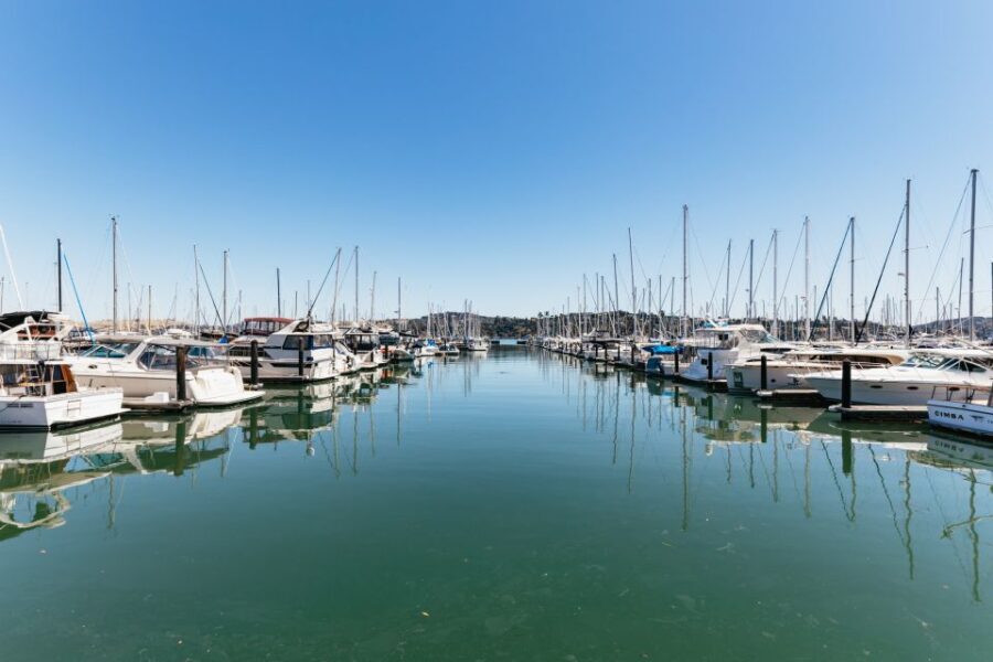 San Francisco: Muir Woods and Sausalito Small-Group Tour - The Value of the Tour