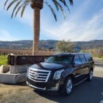 San Francisco: Private Airport Transfer - What Can Travelers Expect During This Transfer?