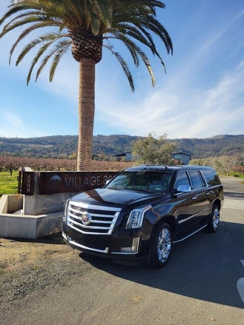 San Francisco: Private Airport Transfer - What Can Travelers Expect During This Transfer?
