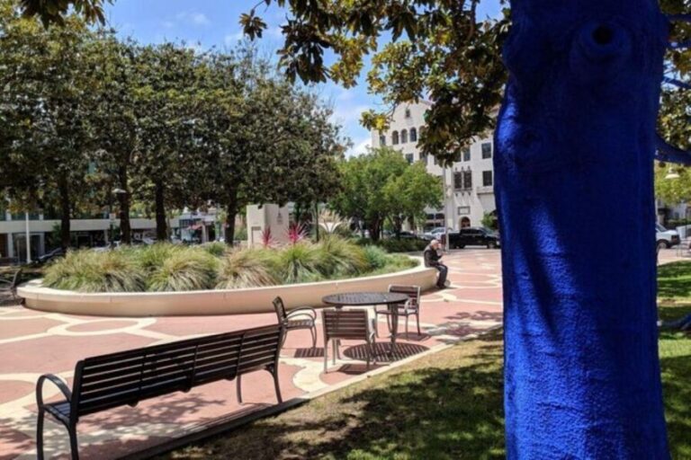 San Francisco: Silicon Valley Private Tour with Transfers - Who Will Enjoy This Tour?