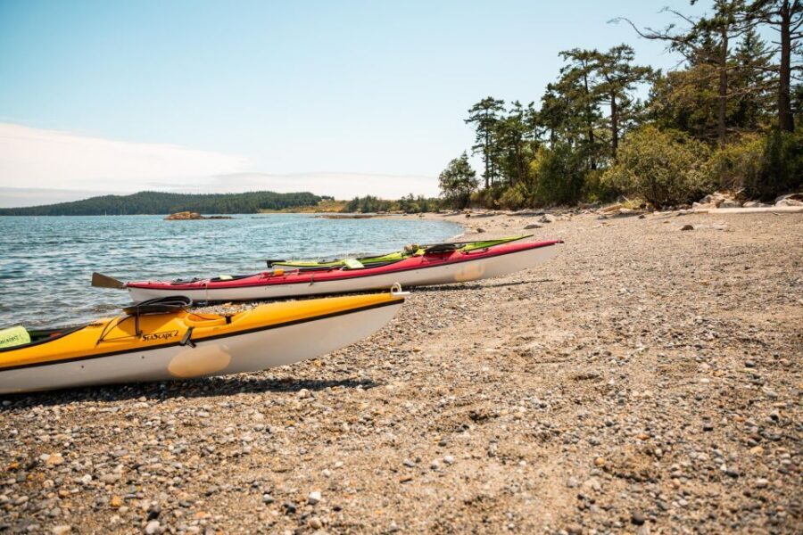 San Juan Island: 3-h Griffin Bay Tour - FAQ