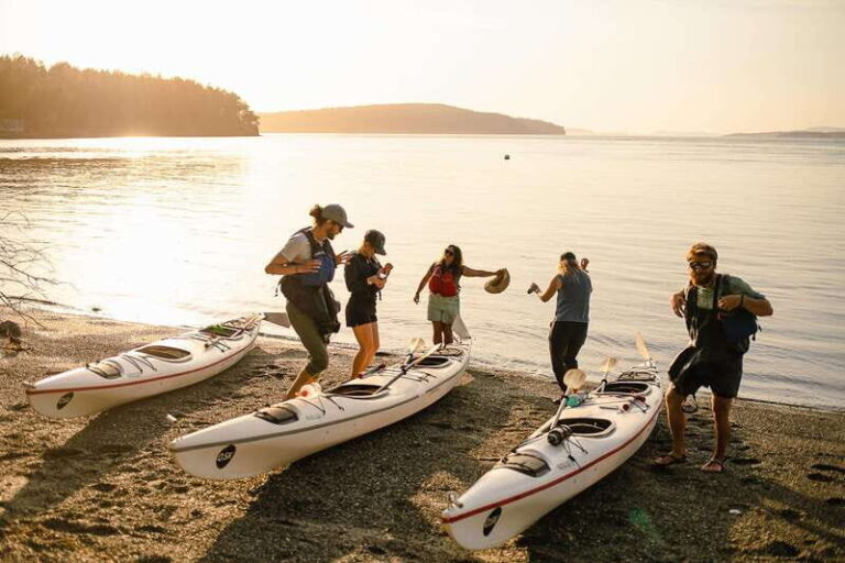 San Juan Island: Full Day Kayaking Tour with Lunch - The Practical Side: What’s Included & What to Prepare