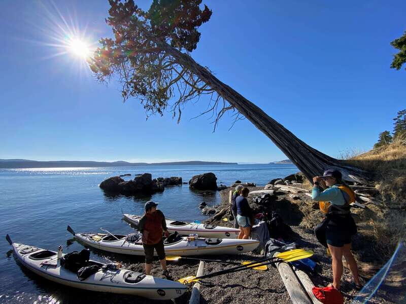 San Juan Islands: 3 Day Kayak and Camping Adventure - Detailed Itinerary Breakdown