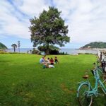San Sebastián: Discover San Sebastian on a Bike - Itinerary Breakdown: What You’ll Experience