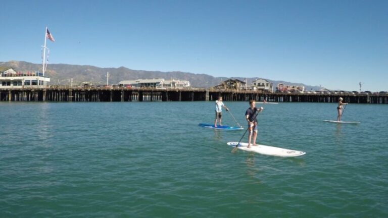 Santa Barbara: Stand-up Paddle Board Rental - Why This Experience Is Worth Your Time