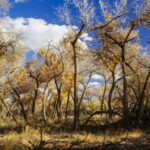 Santa Fe E-bike Adventure Half-Day Tour - What Makes This Tour Stand Out