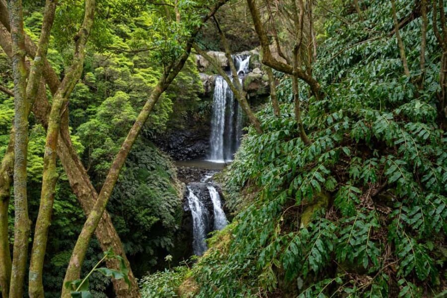 São Miguel Island: Chasing Waterfalls in the Azores Tour - Transportation and Group Size