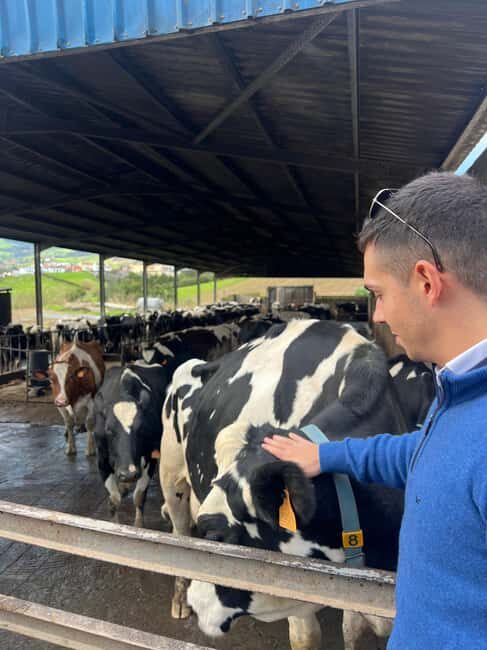 São Miguel: Nordeste Tour with Cow Milking - Is This Tour Right for You?