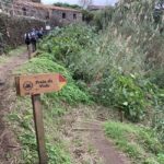 São Miguel: North Coast Private Tour & Hike - Practical Aspects & Value