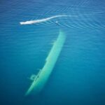 Sarandë: Cruise with Wine, Snorkel at Shipwreck & Swim Stops - Who Is This Tour Best For?
