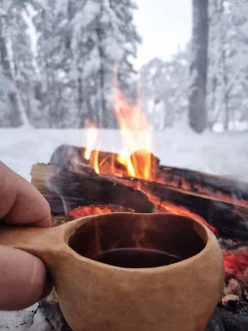 Särna: Fulufjället National Park Guided Hike with Lunch - The Practical Details
