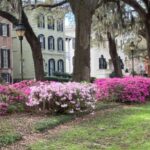 Savannah: Highlights Off the Beaten Path Guided Walking Tour - Why This Tour Stands Out