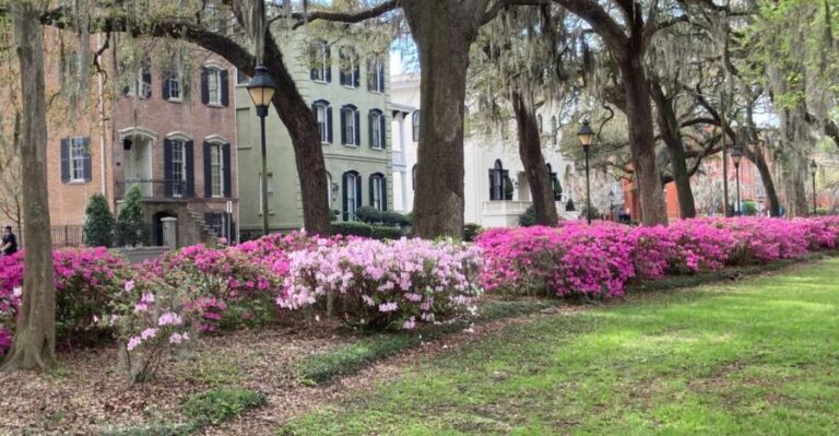 Savannah: Highlights Off the Beaten Path Guided Walking Tour - Why This Tour Stands Out