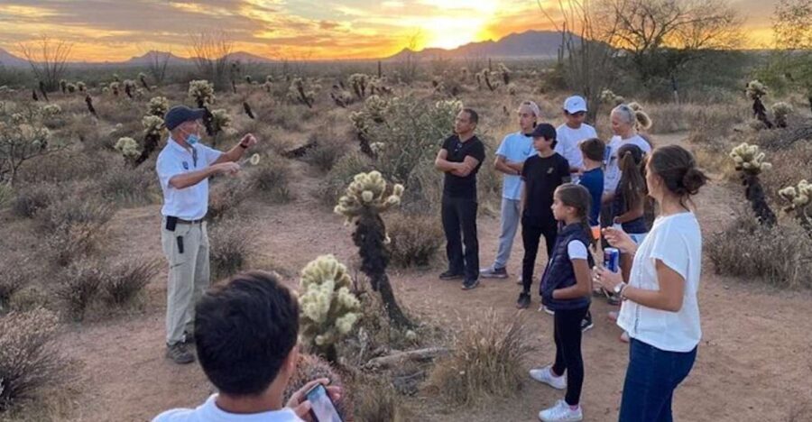 Scottsdale: McDowell Sonoran Preserve Hiking Tour - Detailed Journey Through the Trails