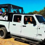 Scottsdale: Sonoran Desert to MountainTop Jeep Tour - What to Expect from the Tour