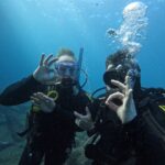 Scuba Diving trips for Certified Divers in Tenerife - Detailed Itinerary Breakdown