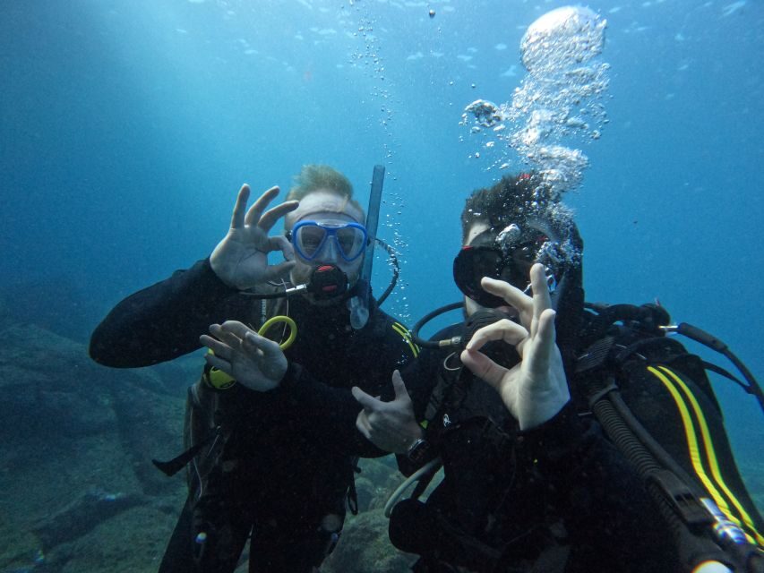 Scuba Diving trips for Certified Divers in Tenerife - Detailed Itinerary Breakdown