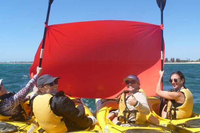 Seal Island and Penguin Island or Point Peron Sea Kayak Tour - In-Depth Breakdown of the Itinerary and Experience