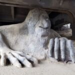 Seattle: 3-Hour City Highlights Tour - The Experience: Why Its Worth It
