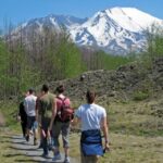 Seattle: Mt. St. Helens National Monument Small Group Tour - What Really Sets This Tour Apart
