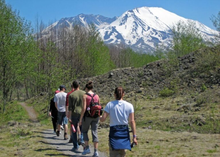 Seattle: Mt. St. Helens National Monument Small Group Tour - What Really Sets This Tour Apart