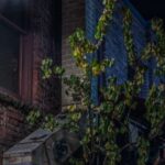 Seattle: Terrors and Ghosts Guided Walking Tour - Final Thoughts