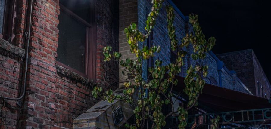 Seattle: Terrors and Ghosts Guided Walking Tour - Final Thoughts