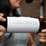 Secrets of Wine: Immersion in the Winery and Professional Tasting - FAQ