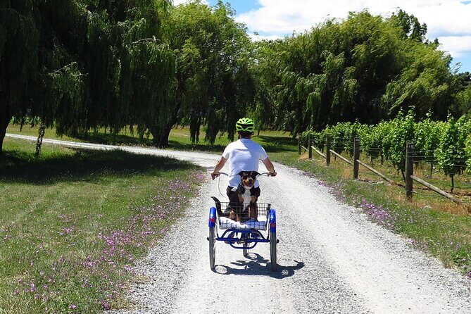 Self-Guided Wine Tours by Bike with Lorelle & Greg - Authentic Experiences, Friendly Service, and Flexibility