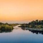 Semi-Private Everglades Tour from Miami Or Fort Lauderdale - The Price and Its Value