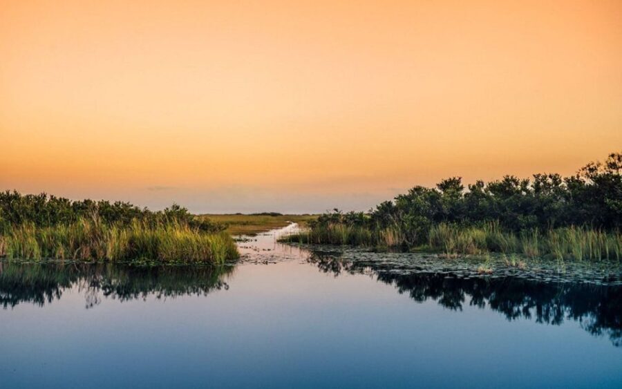 Semi-Private Everglades Tour from Miami Or Fort Lauderdale - The Price and Its Value