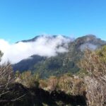 Serra dÁgua: A Scenic Levada Walk - Why Choose This Tour?
