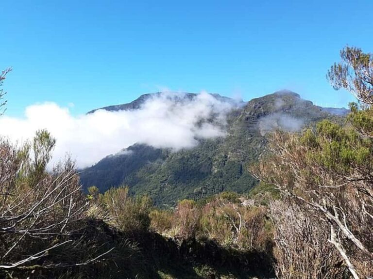 Serra dÁgua: A Scenic Levada Walk - Why Choose This Tour?