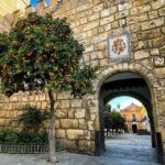 Seville: Alcazar, Cathedral, and Giralda Skip-the-Line Tour - What Makes Each Stop Unique