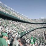 Seville: Sevilla FC or Real Betis Football Match with Guide - The Match Experience