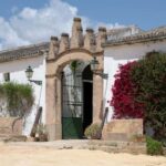 Seville: Visit Bodegas Góngora - What to Expect on Your Visit