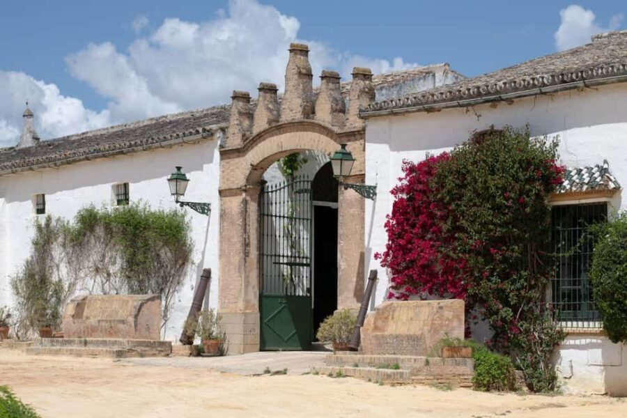 Seville: Visit Bodegas Góngora - What to Expect on Your Visit