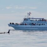 Seward: Resurrection Bay Orca Quest Cruise - Analyzing the Value
