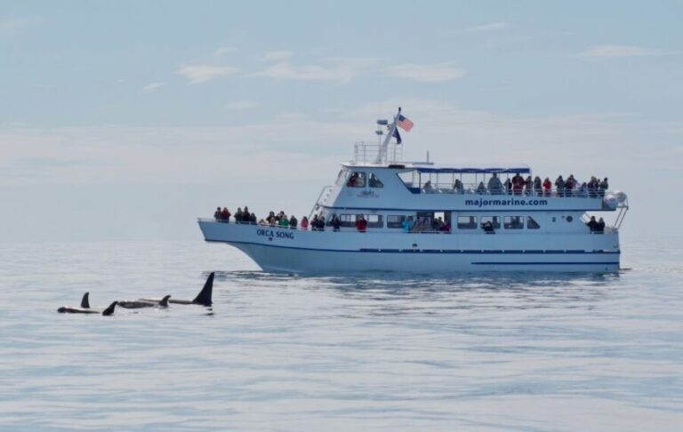 Seward: Resurrection Bay Orca Quest Cruise - Analyzing the Value