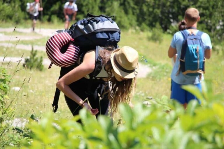 Shkodër: Accursed Mountains 5-Day Hike with Accommodation - What You’ll Love About This Tour