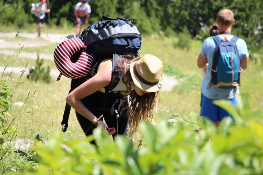 Shkodër: Accursed Mountains 5-Day Hike with Accommodation - What You’ll Love About This Tour