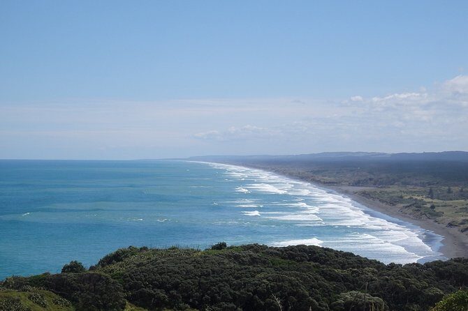 Shore Excursion: Auckland Scenic Full Day Tour - 8 Hours - Auckland Harbour Bridge