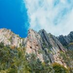 Shore Excursion-Hobart Wanderer - What the Reviews Say