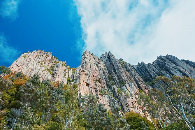 Shore Excursion-Hobart Wanderer - What the Reviews Say